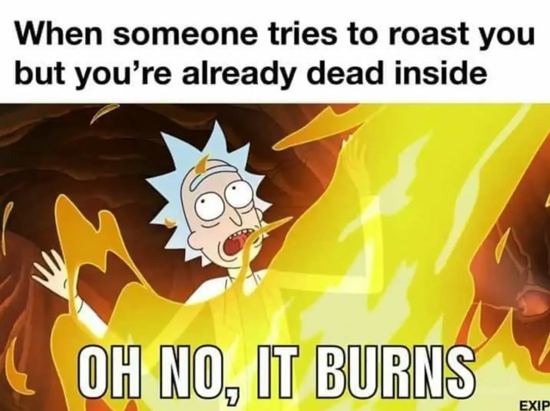 Top 50 Best 'Rick and Morty' Memes Picked By A Rick And Morty Fan ...